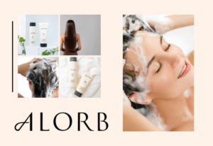 人気のALORBシリーズについて特徴をまとめてみました | KAOTREE オンラインショップ