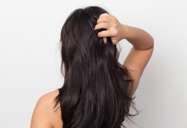 人気のALORBシリーズについて特徴をまとめてみました | KAOTREE オンラインショップ